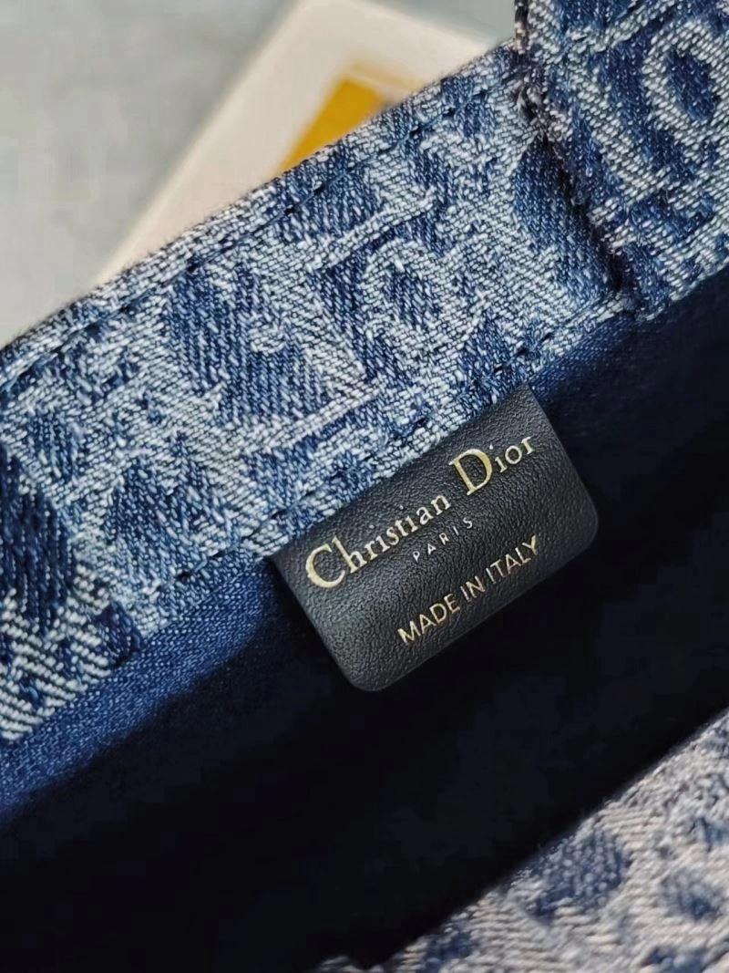 Accurate model Christian Dior Shopping Bags