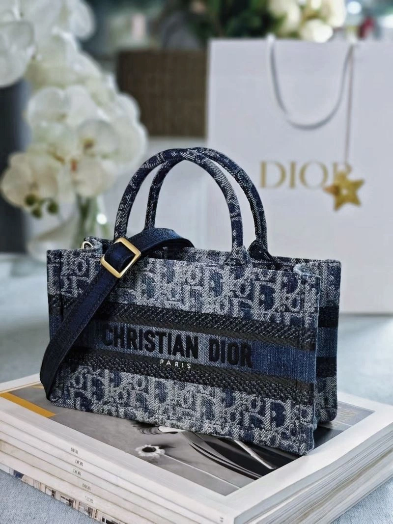 Accurate model Christian Dior Shopping Bags