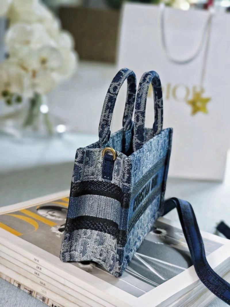 Accurate model Christian Dior Shopping Bags
