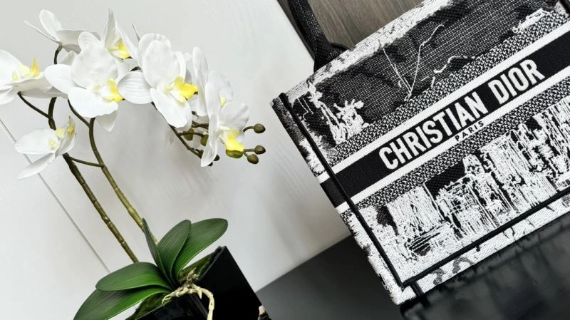 Cut-rate Christian Dior Shopping Bags