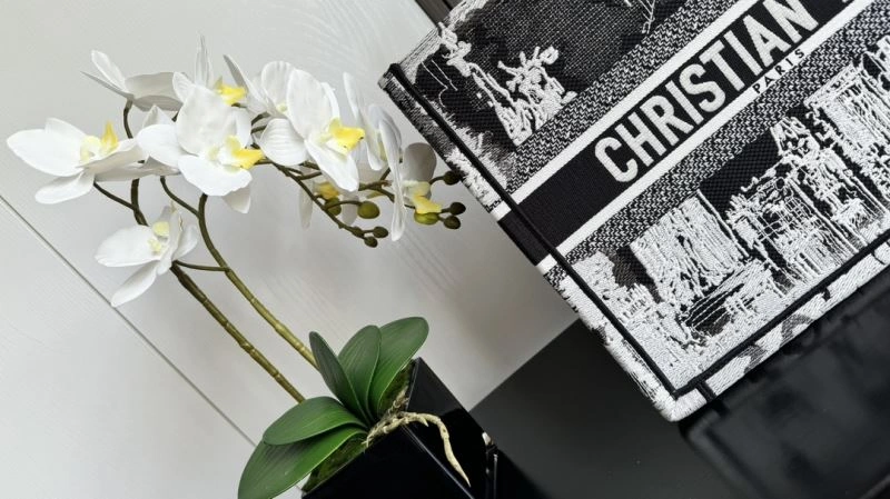 Bargain Christian Dior Shopping Bags