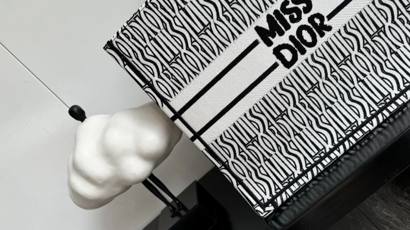 Value-priced Christian Dior Shopping Bags