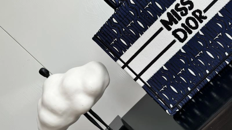 Inexpensive Christian Dior Shopping Bags