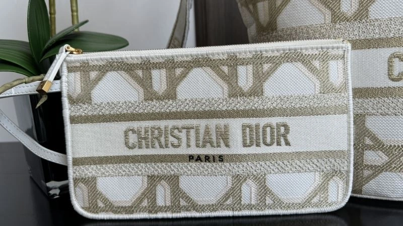 High accuracy Christian Dior Shopping Bags