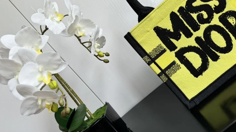 Budget-friendly Christian Dior Shopping Bags