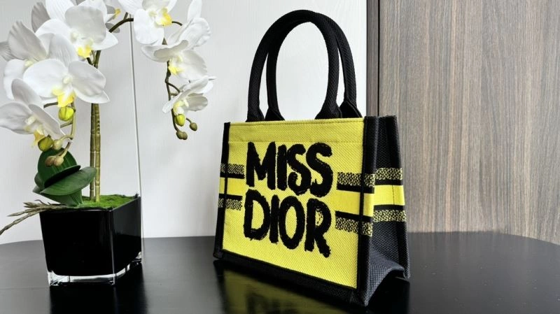 Budget-friendly Christian Dior Shopping Bags