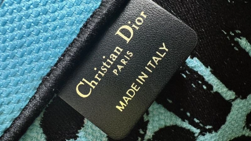 Budget-friendly Christian Dior Shopping Bags