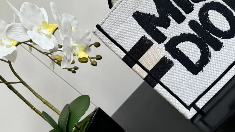 Indistinguishable Christian Dior Shopping Bags