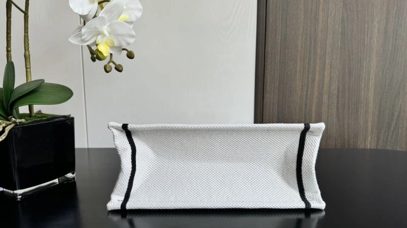 Indistinguishable Christian Dior Shopping Bags