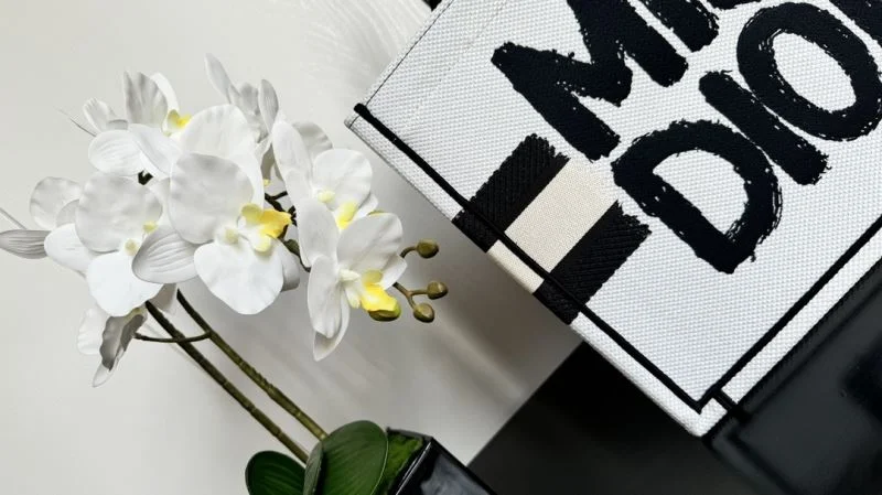 Top match Christian Dior Shopping Bags