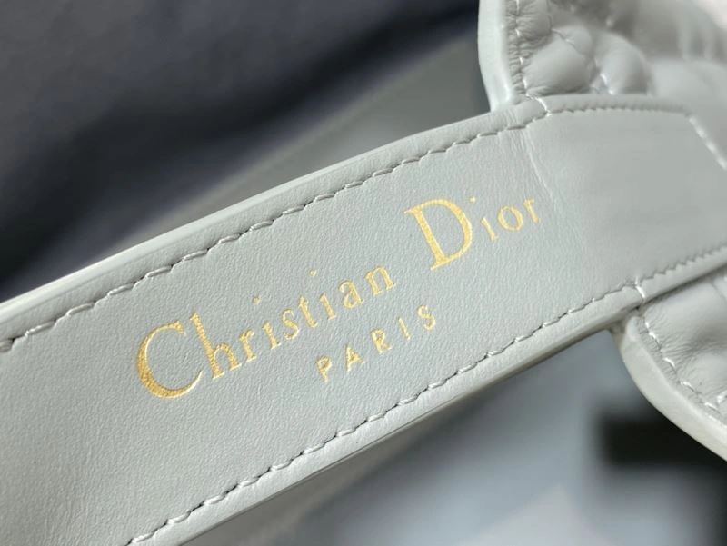 Legit Christian Dior Shopping Bags