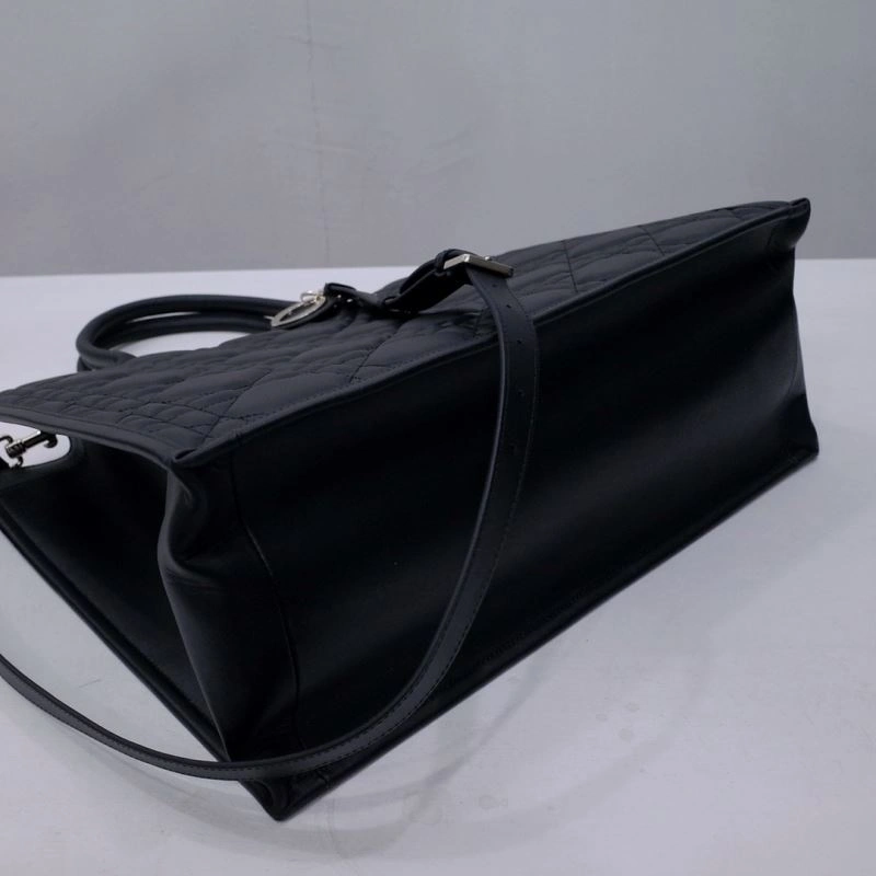 Indistinguishable Christian Dior Shopping Bags