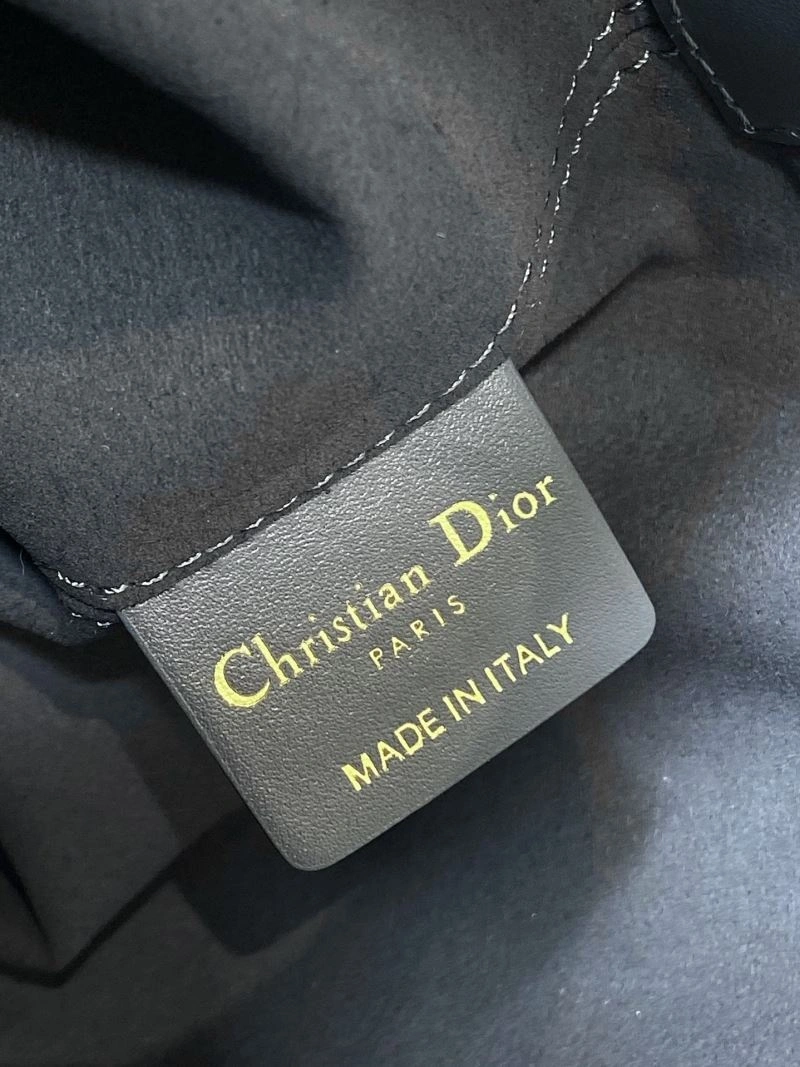 Accurate model Christian Dior Shopping Bags