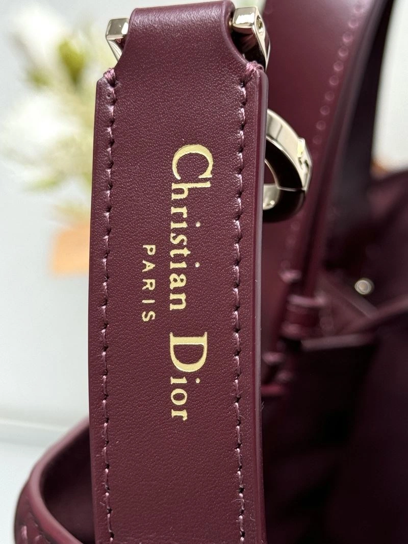 Accurate model Christian Dior Shopping Bags