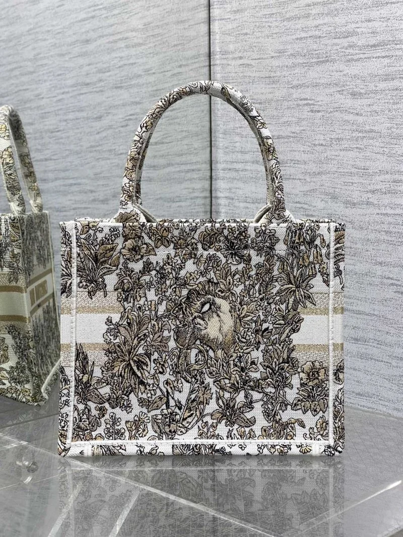 Accurate model Christian Dior Shopping Bags