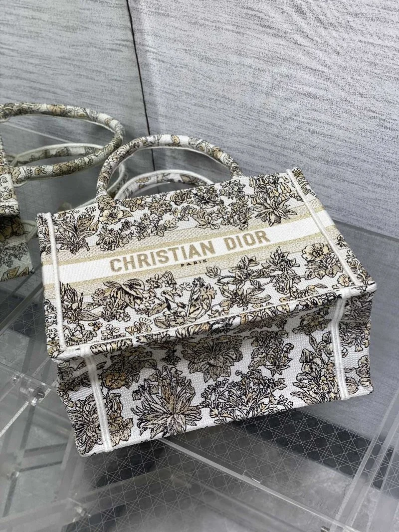Accurate model Christian Dior Shopping Bags