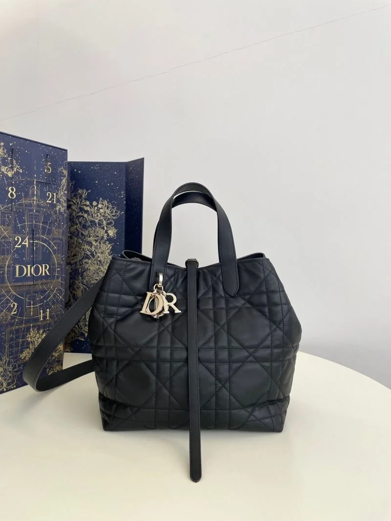 Christian Dior Shopping Bags