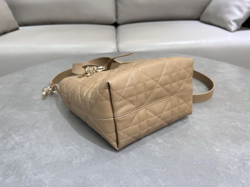 Economical Christian Dior Shopping Bags