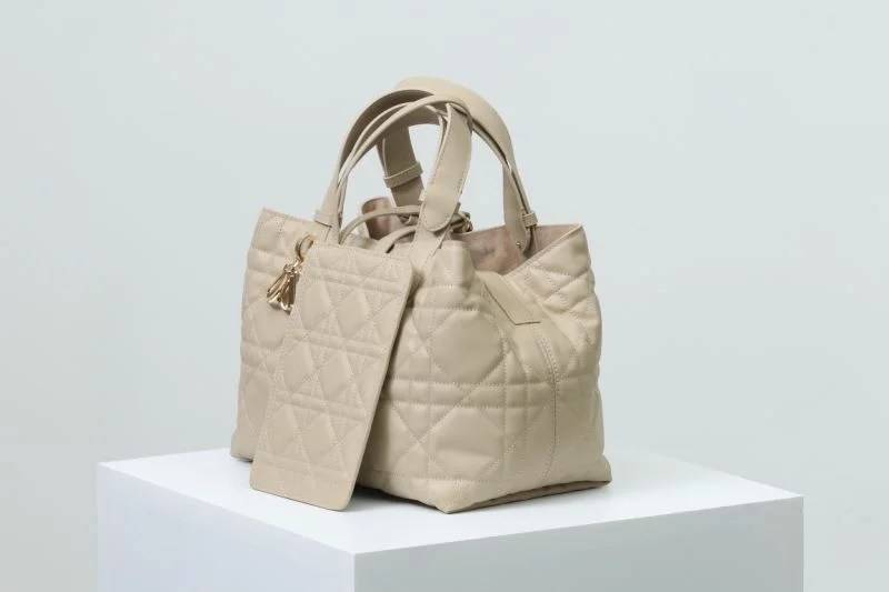 Budget-friendly Christian Dior Shopping Bags