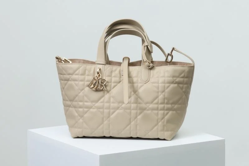 Budget-friendly Christian Dior Shopping Bags