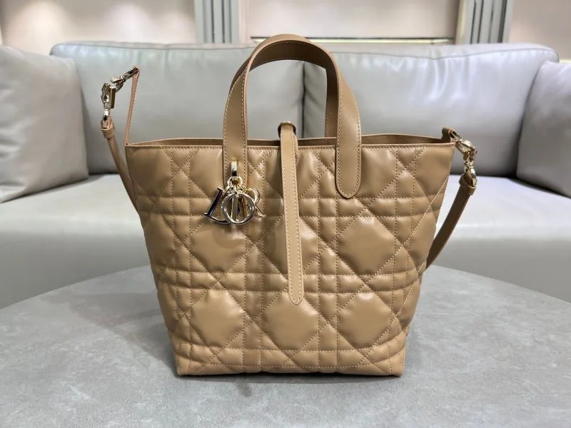 Christian Dior Shopping Bags