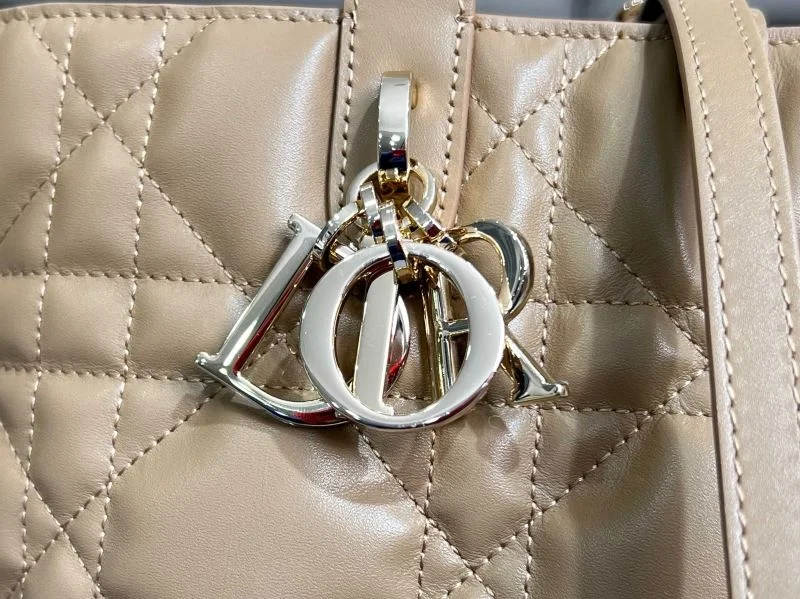 Brand-authenticated Christian Dior Shopping Bags