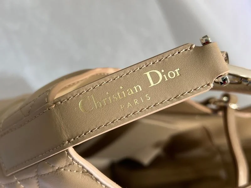 Brand-authenticated Christian Dior Shopping Bags