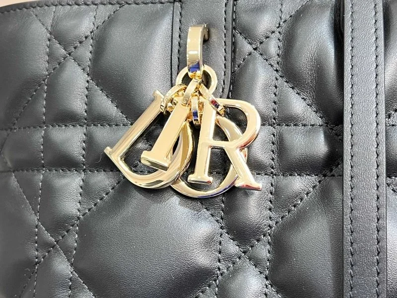 Original Christian Dior Shopping Bags
