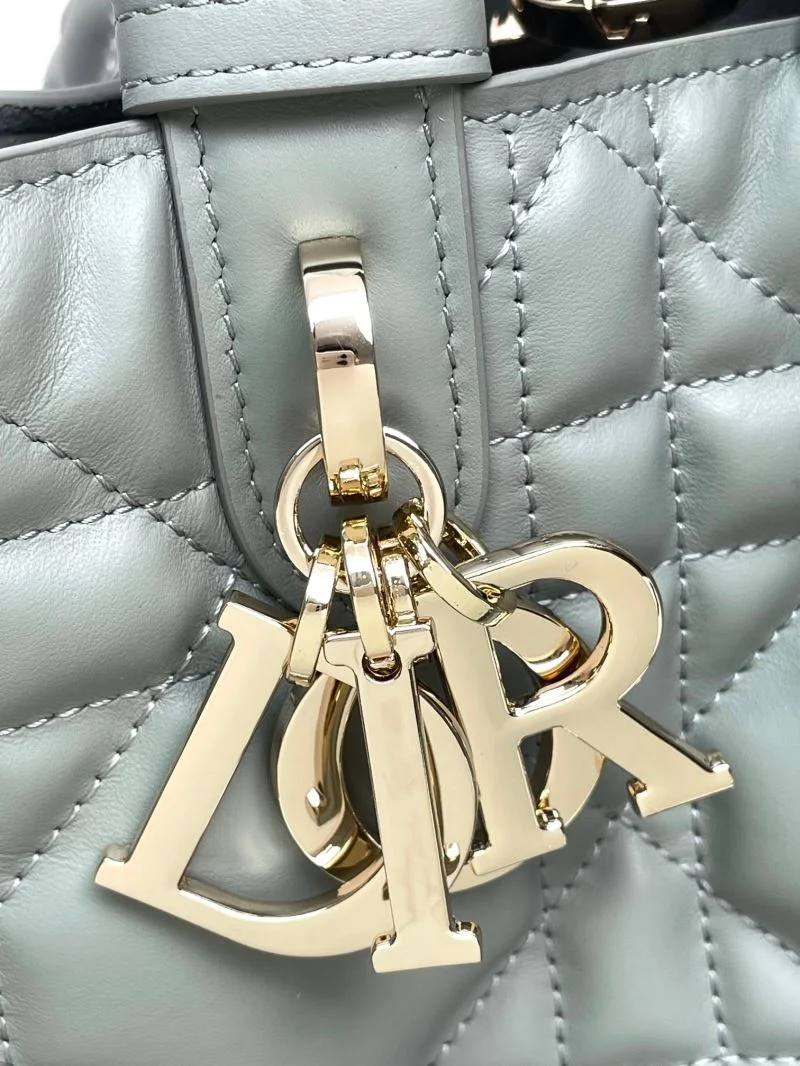 High accuracy Christian Dior Shopping Bags
