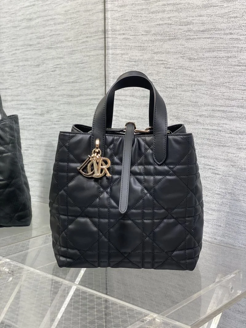 Christian Dior Shopping Bags