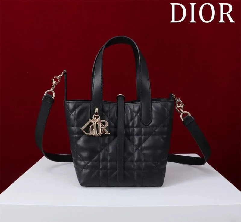 Christian Dior Shopping Bags
