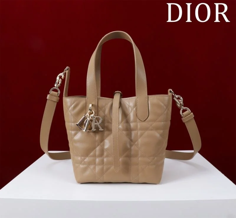Christian Dior Shopping Bags