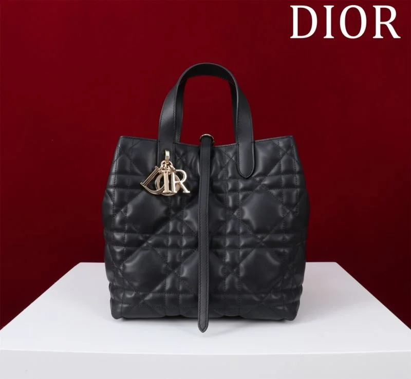 Christian Dior Shopping Bags