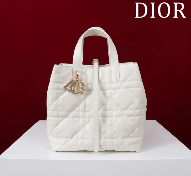Christian Dior Shopping Bags