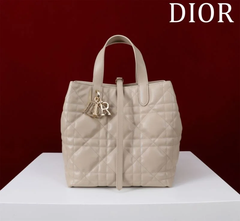 Christian Dior Shopping Bags