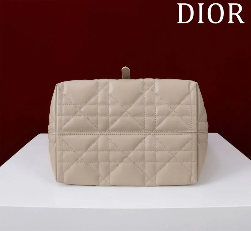 Accurate model Christian Dior Shopping Bags