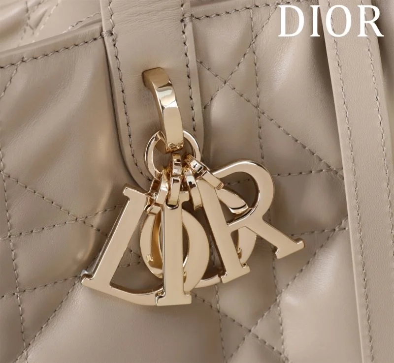Accurate model Christian Dior Shopping Bags