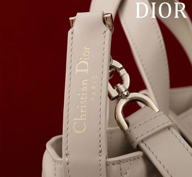 Accurate model Christian Dior Shopping Bags