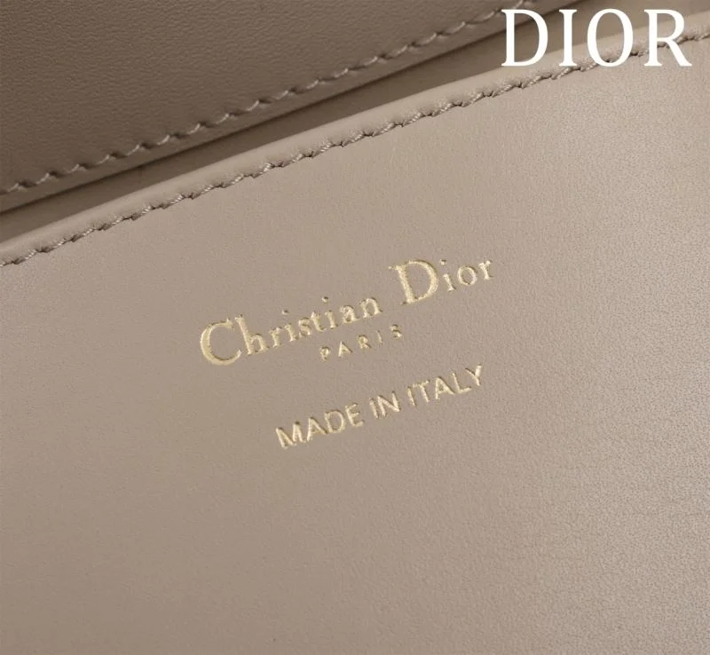 Accurate model Christian Dior Shopping Bags