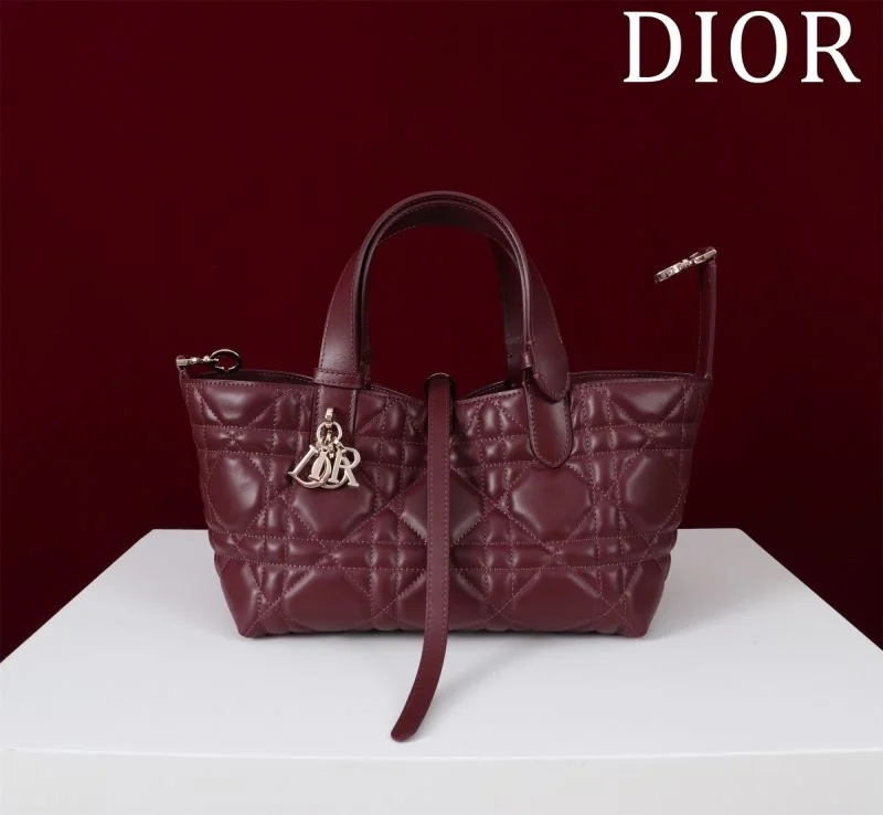 Christian Dior Shopping Bags