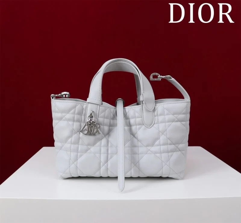 Christian Dior Shopping Bags