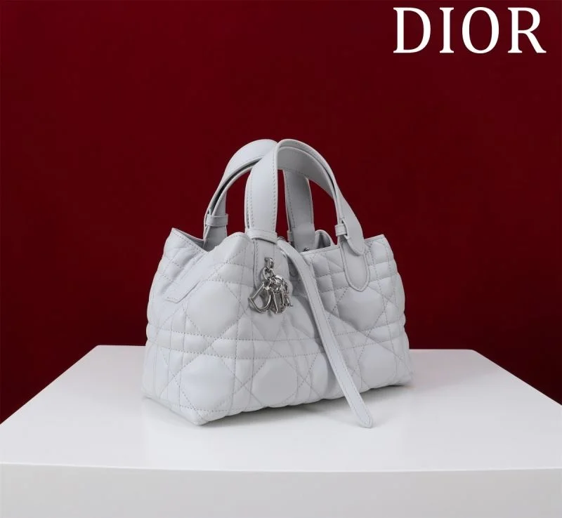 Exact replica Christian Dior Shopping Bags