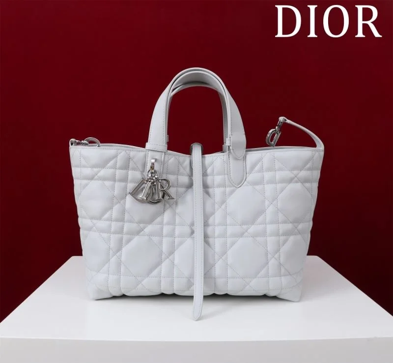 Christian Dior Shopping Bags