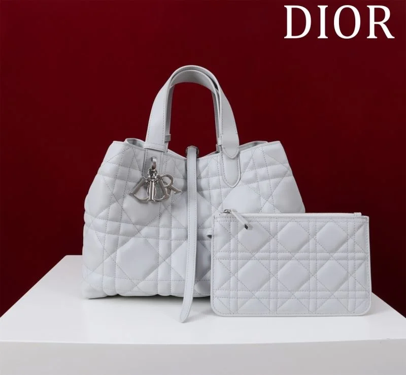 Official Christian Dior Shopping Bags