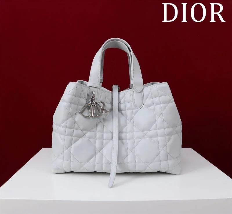 Official Christian Dior Shopping Bags