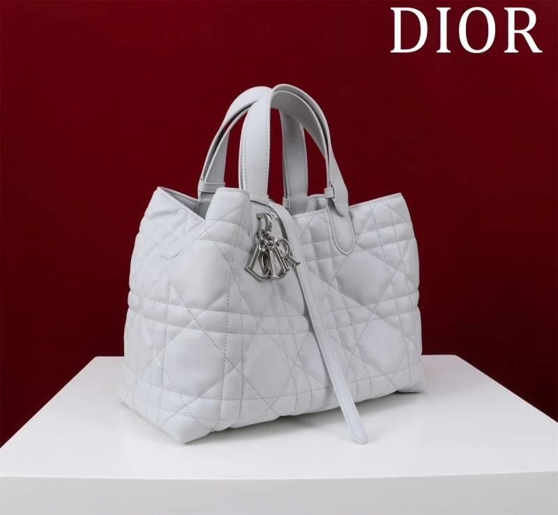 Official Christian Dior Shopping Bags