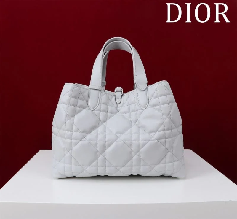 Official Christian Dior Shopping Bags