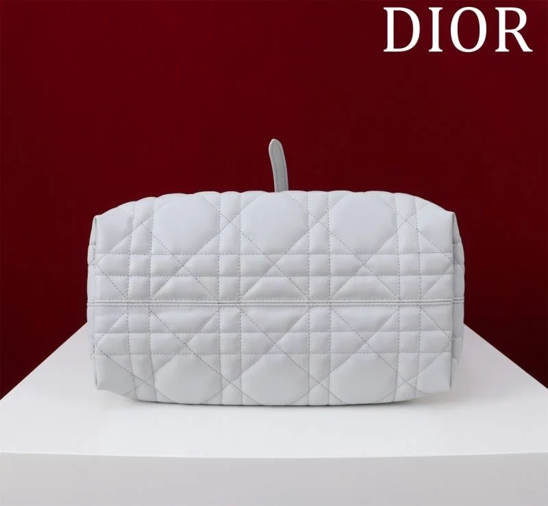 Official Christian Dior Shopping Bags