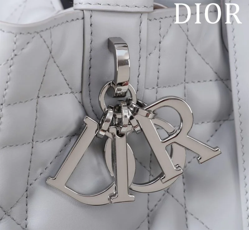 Official Christian Dior Shopping Bags