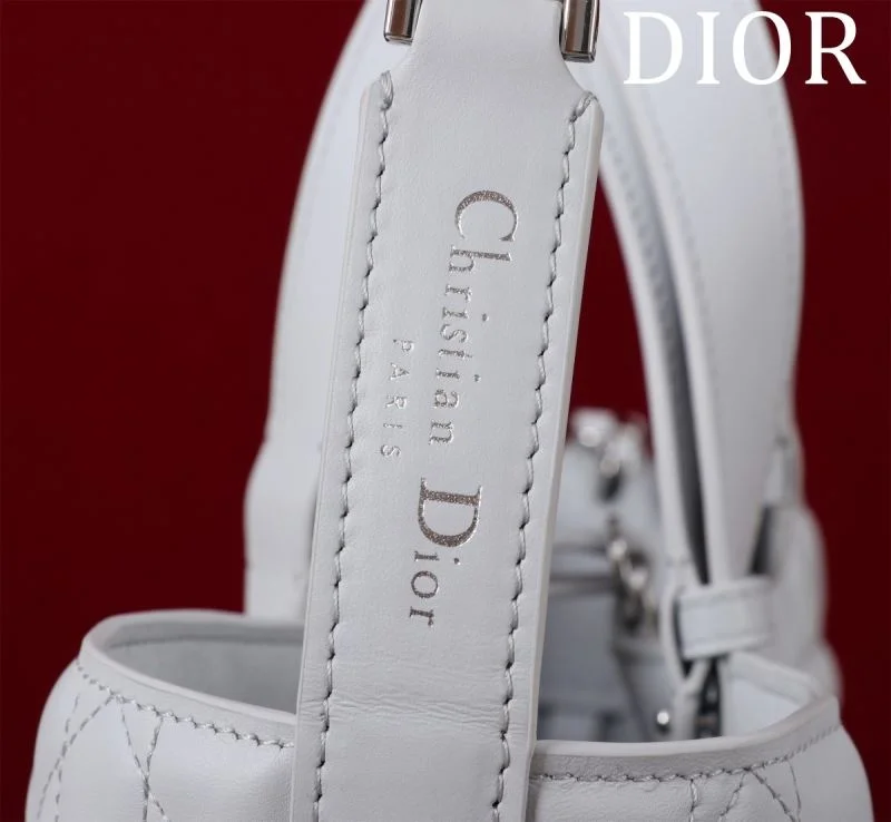 Official Christian Dior Shopping Bags